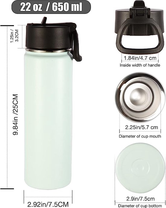 Volhoply Geïsoleerde Waterflessen Met Rietje 2 Pak, 660ml Roestvrij ...