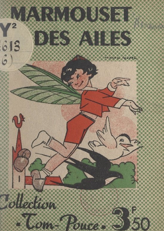 Marmouset a des ailes (ebook), Geneviève Néranval | 9782307277019 ...