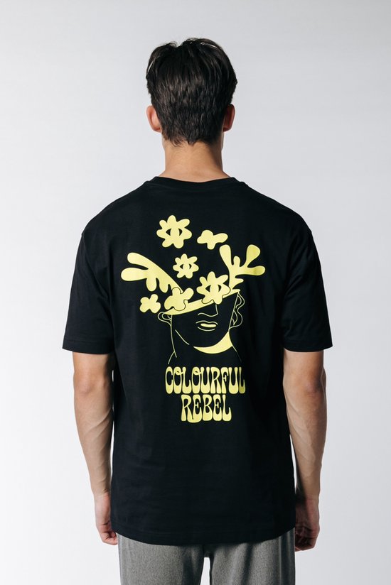 Colourful Rebel Grow Basic Tee - L | bol.com