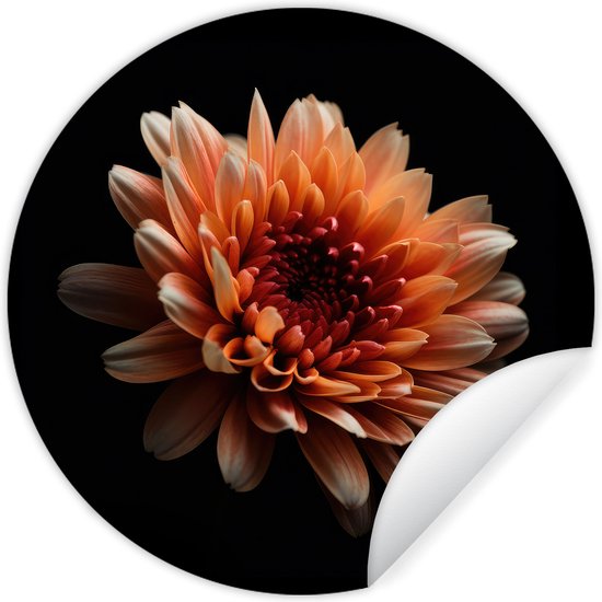 WallCircle - Muurstickers - Behangcirkel - Bloemen - Oranje - Natuur - Chrysant -... | bol