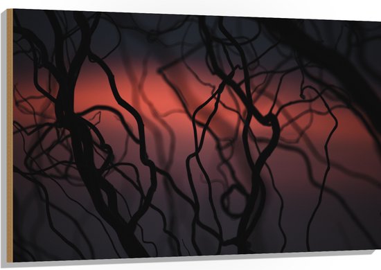 Hout - Boom - Takken - Donker - Natuur - Rood - 120x80 cm - 9 mm dik ...