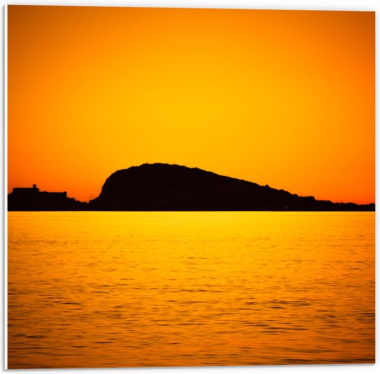 PVC Schuimplaat - Silhouet van Berg in de Vorm van Walvis - 50x50 cm ...