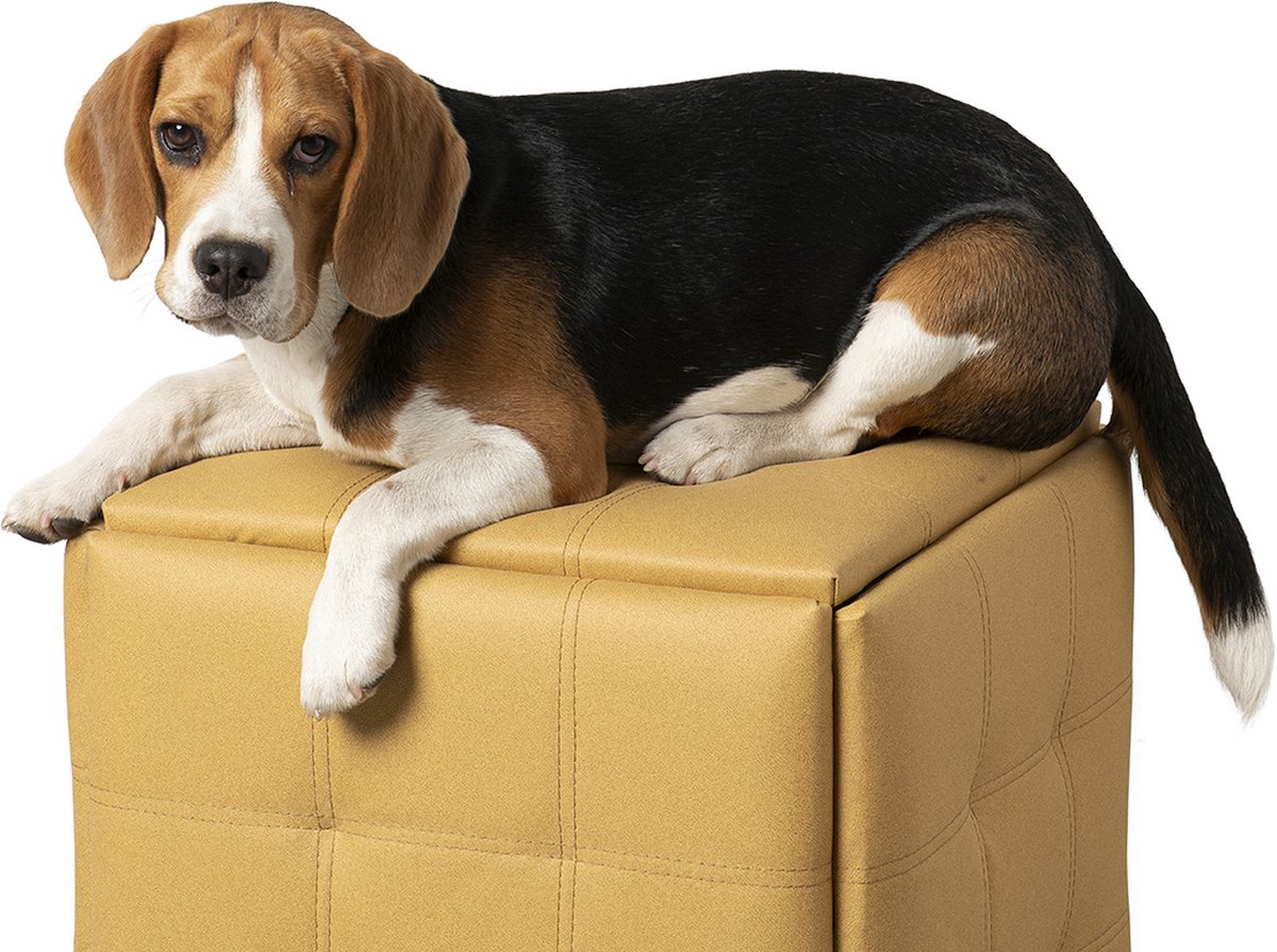 Brulo – ottoman 5 in 1 poef – stoel – 5 stoelen – Geel– met wielen | bol