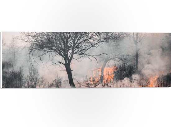PVC Schuimplaat - Bomen - Planten - Brand - Vuur - Rook - 60x20 cm Foto ...