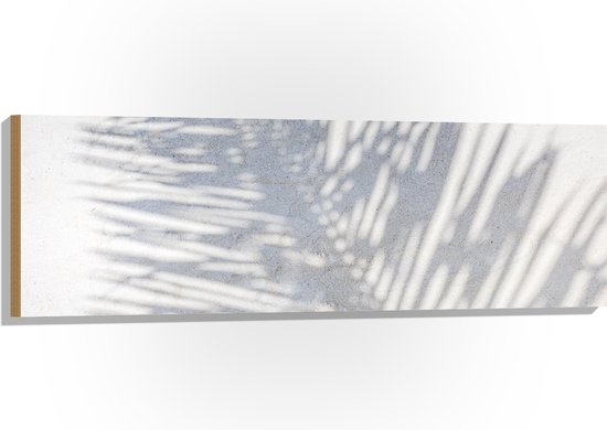 Hout - Schaduw van Varen Plant op Wit Oppervlak - 120x40 cm - 9 mm dik ...