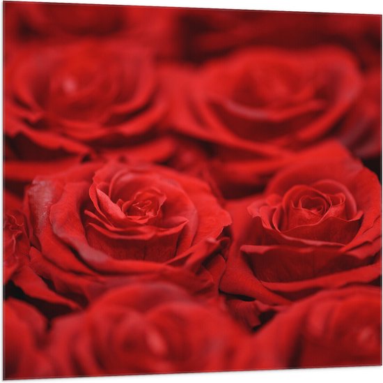 Vlag - Bloemen - Rozen - Rood - 100x100 cm Foto op Polyester Vlag | bol
