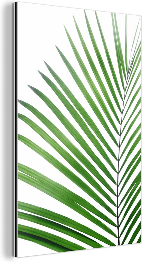 Plant - Groen - Natuur - Wit | bol.com