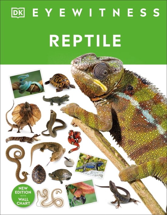 DK Eyewitness - Reptile (ebook), Colin McCarthy | 9780241671320 | Boeken | bol