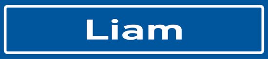 Fotofabriek Straatnaambord Liam | Straatnaambord met naam | Cadeau Liam ...