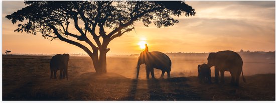 Poster (Mat) - Olifanten Kudde Lopend op Vlakte - 90x30 cm Foto op ...