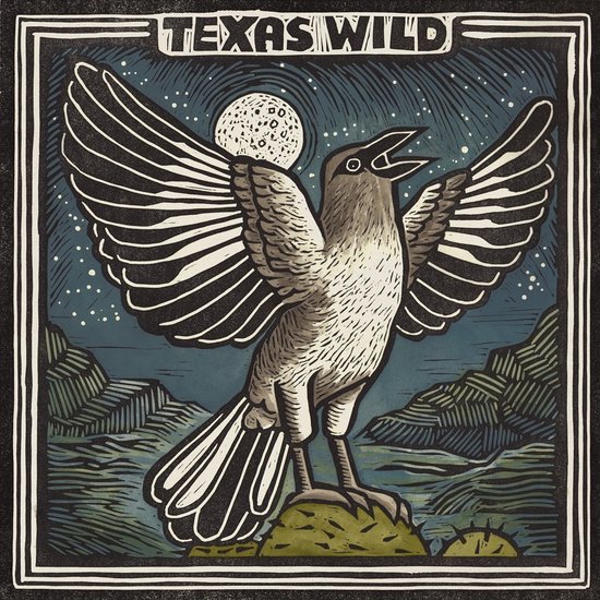 Various - Texas Wild (CD), Various | Muziek | bol.com