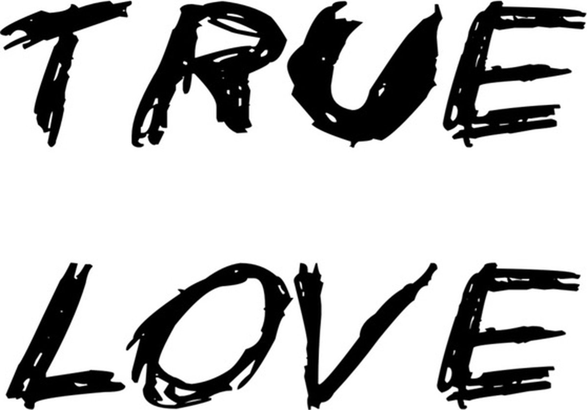 Raaf sierkussen Daan smaragd 35x50 cm | bol.com