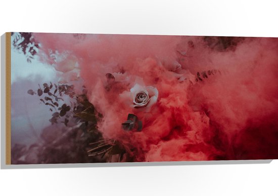 Hout - Rozen - Rook - Bomen - Rood - 100x50 cm - 9 mm dik - Foto op ...