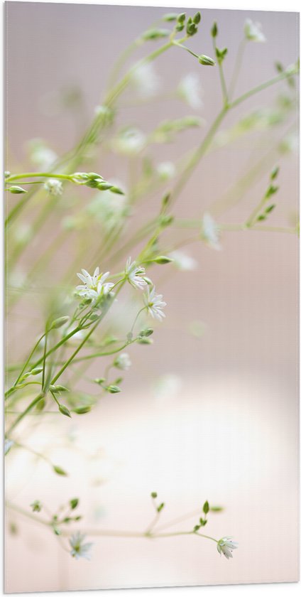 Vlag - Bloemen - Planten - Natuur - Groen - Wit - 50x100 cm Foto op ...