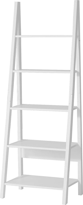 Rootz Moderne 5 Tiers Ladder Plank Boekenkast- Houtopslag Display ...