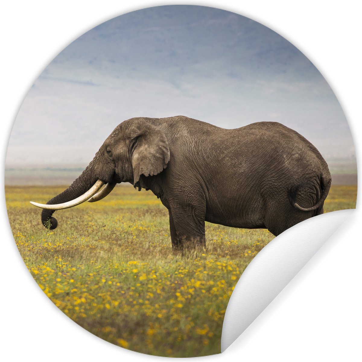 WallCircle - Muurstickers - Behangcirkel - Olifant - Dieren - Bloemen - Gras - Natuur... | bol.com