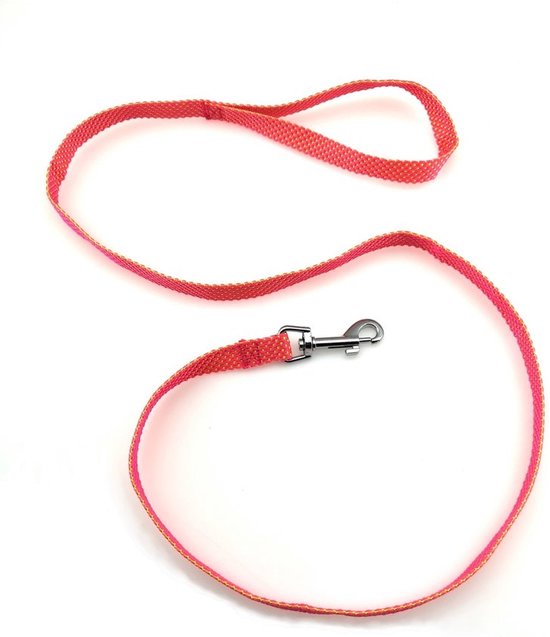 Nobleza Leiband hond - Maat L - Lengte 120cm - Riem hond - Puppy riem ...