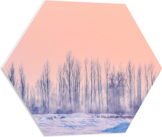 PVC Schuimplaat Hexagon - Sneeuw - Bomen - Landschap - Bos - 60x52.2 cm ...