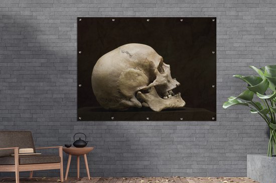 Muurdecoratie buiten Menselijke schedel vanaf de zijkant - 160x120 cm ...
