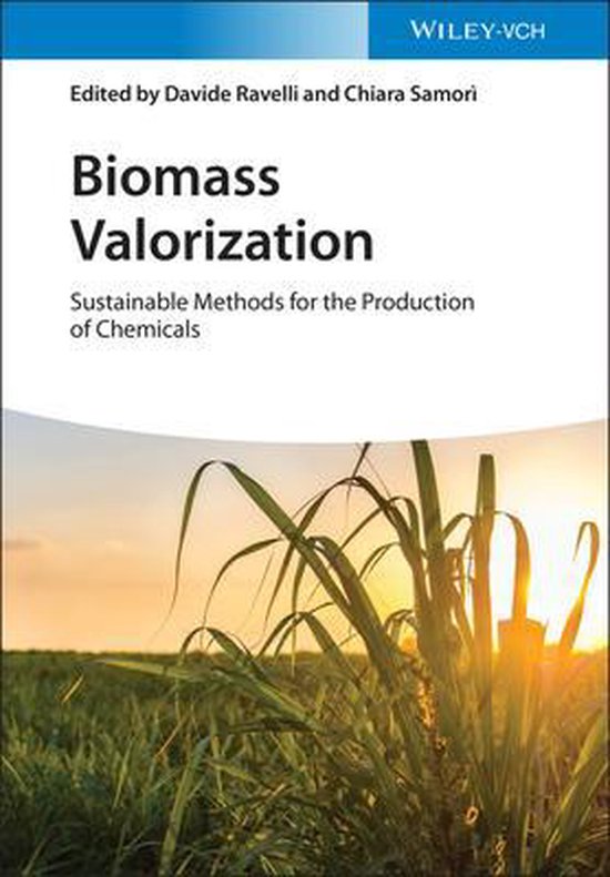 Biomass Valorization, D Ravelli | 9783527347179 | Boeken | bol