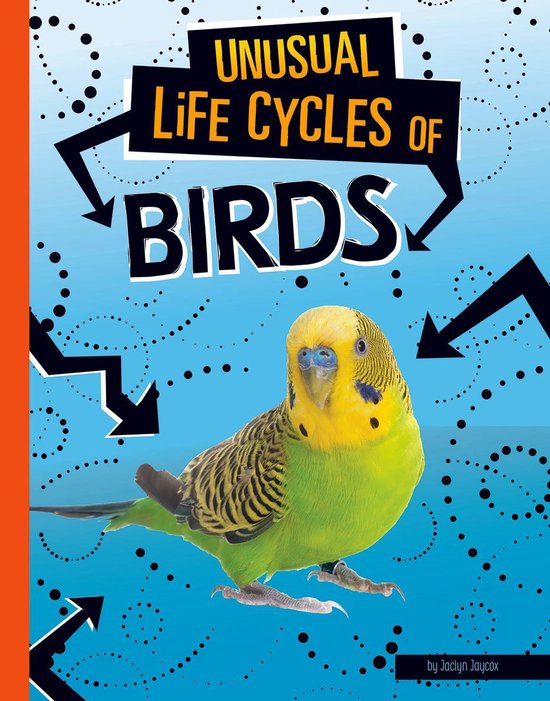 Unusual Life Cycles - Unusual Life Cycles of Birds (ebook), Jaclyn ...