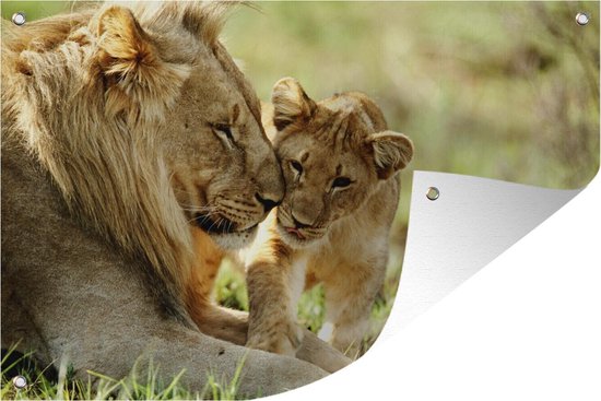 Tuinposter - Tuindoek - Tuinposters buiten - Wilde dieren - Leeuwen ...