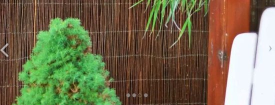 Wilgenmat op rol - 100 cm hoog en 300 cm lang | bol