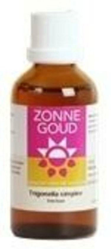 Trigonella Simplex Zonnegoud | bol.com