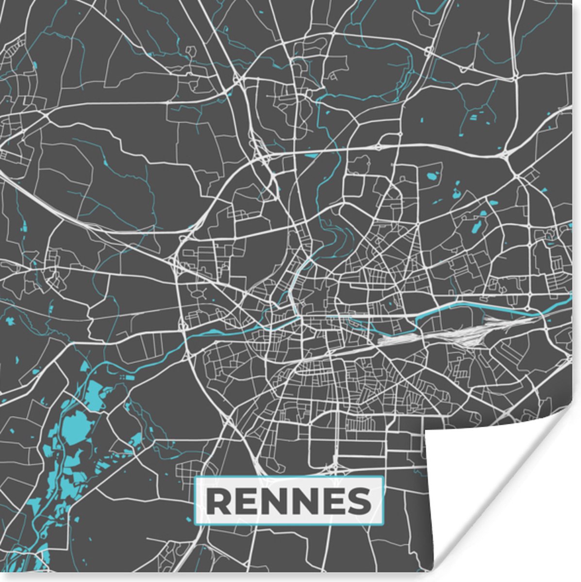 Poster Rennes - Frankrijk - Plattegrond - Stadskaart - Kaart - 50x50 cm ...