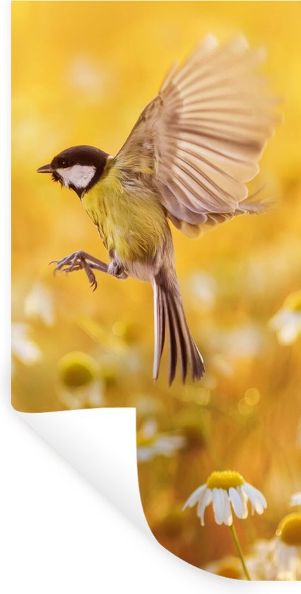 Muurstickers - Sticker Folie - Vogel - Koolmees - Bloemen - Margriet ...