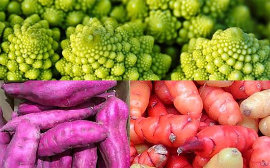 Exotische groente zaden set van 6 Koriander, Purple Choy Sum Tsa Tai ...