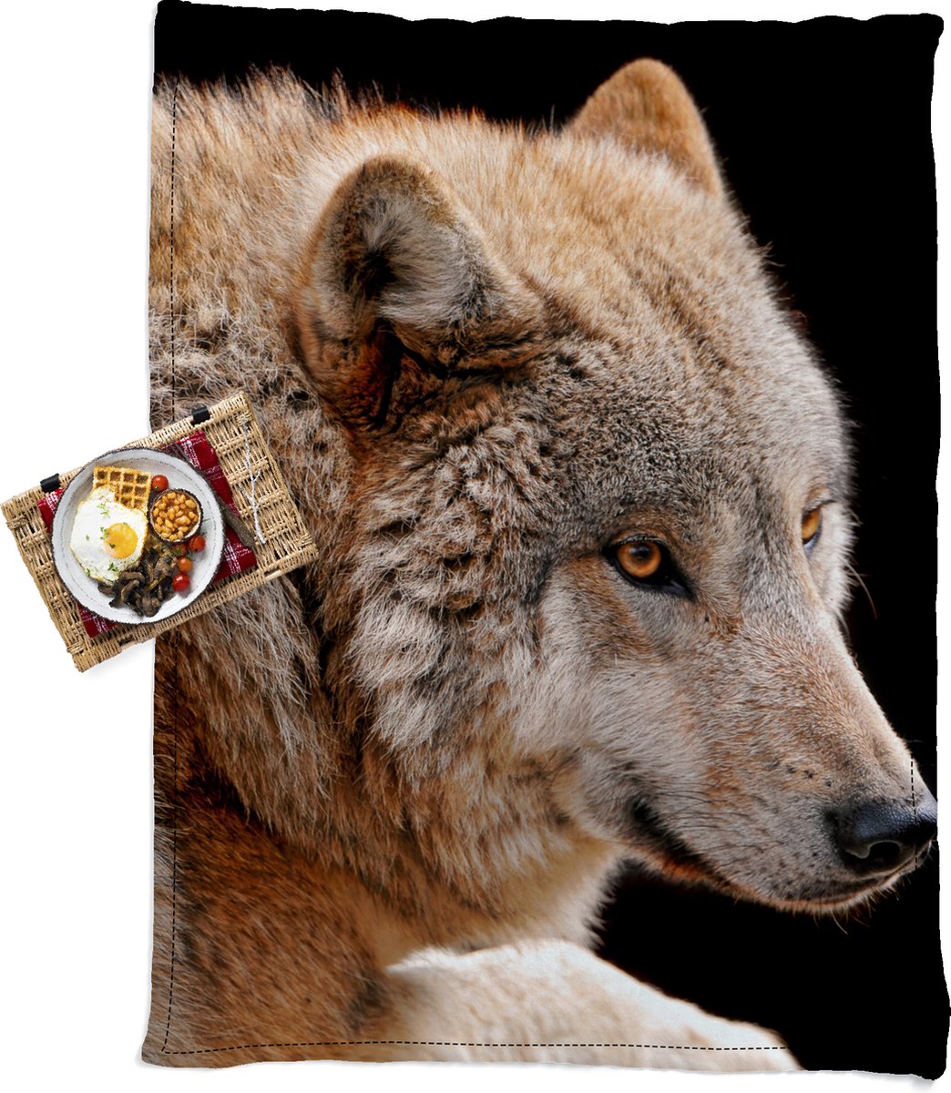 Picknickkleed - Buitenkleed - Bruine wolf - Vloerkleed buiten - 150x200 cm | bol.com