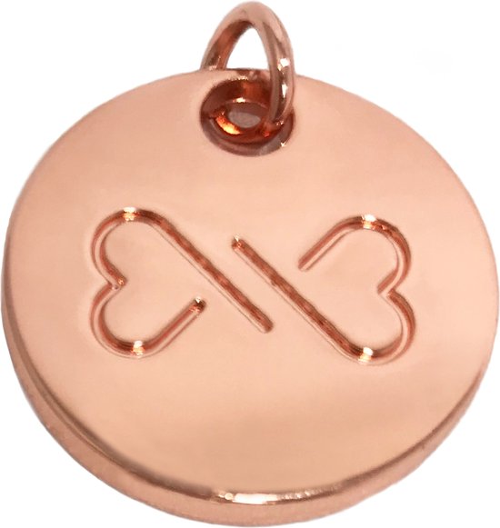 DOGA Hondenpenning Roségoud - Dierenpenning - Hondenpenning met naam en ...