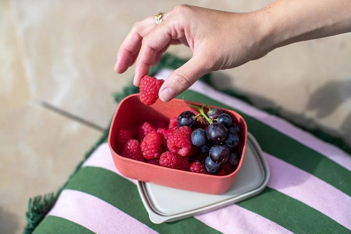 Lunchbox, Klein, Lekvrij, Organic, Zand Beige - Koziol | Candy S | bol