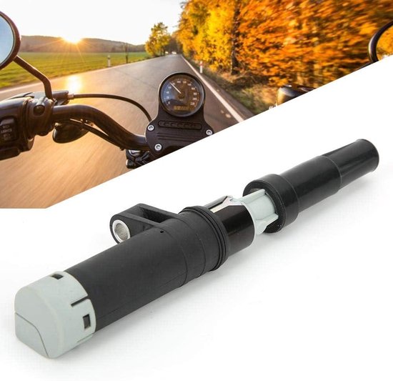 4 stuks Motor Bobine Voor RENAULT CLIO SCENIC ESPACE LAGUNA MEGANE 1.4 ...