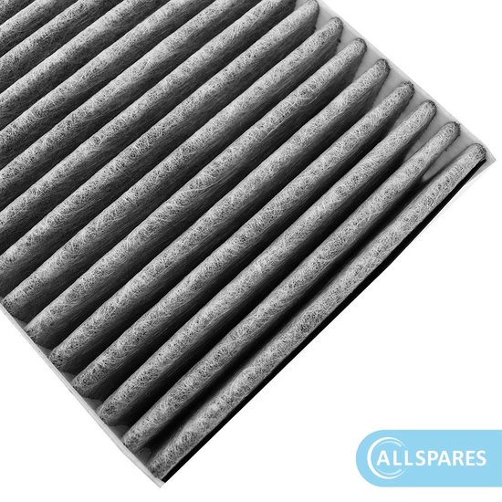 AllSpares Koolstoffilter (2 St.) geschikt voor BAKFS (zonder anti ...