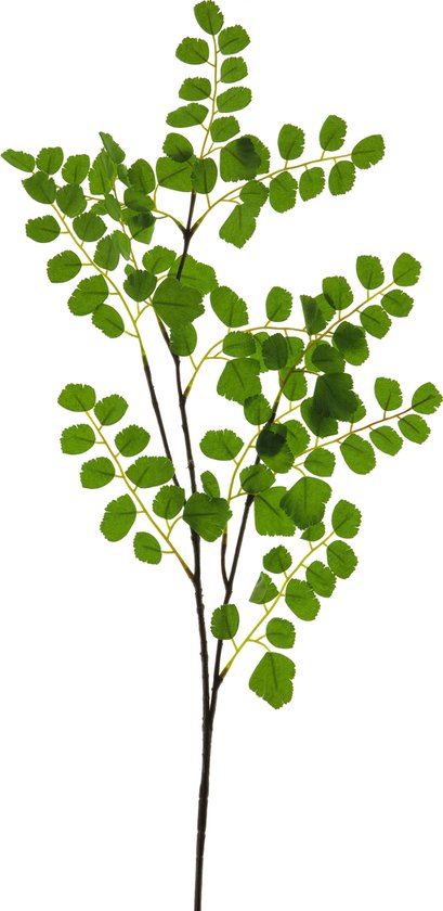 Nova nature - Acacia leaf spray green 90cm | bol