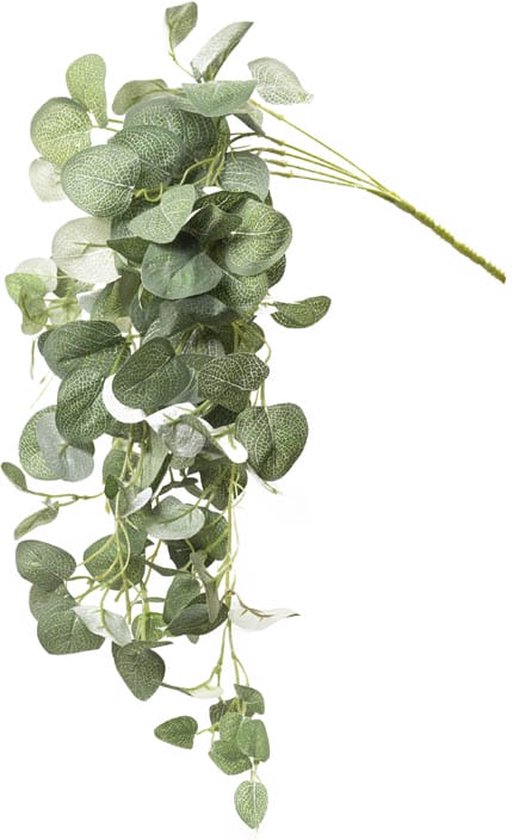 Creamont Kunstplant in kleur groen van kunststof H 75 L 33 W 33 | bol