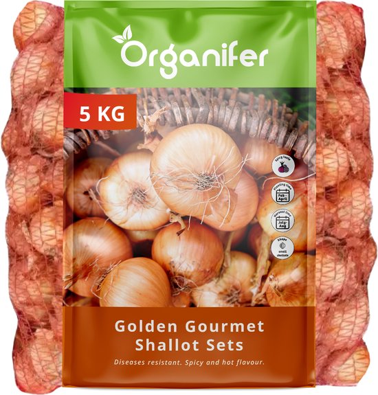 Plantsjalotten Golden Gourmet 14/21 - 5 Kg - Plantgoed - Vorstbestendig ...