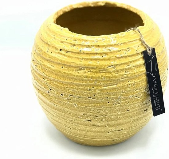 Gele pot stelvio 25x23 | bol