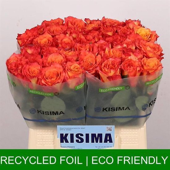 10x Rosa free spirit 40cm | bol