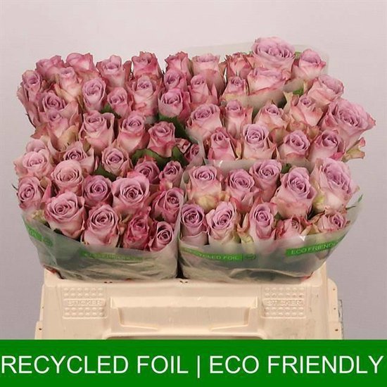20x Rosa memory lane! 30cm | bol