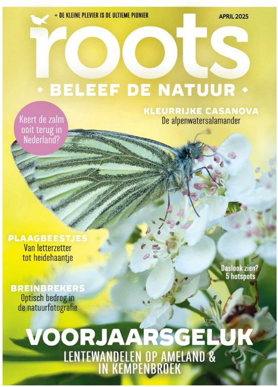Roots Magazines 2025 editie 4 | bol
