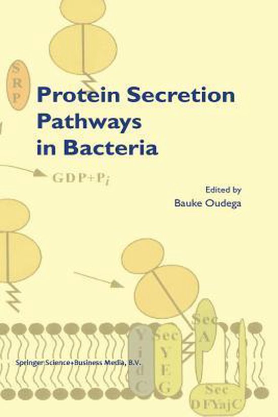 Protein Secretion Pathways In Bacteria 9789401039741 Boeken