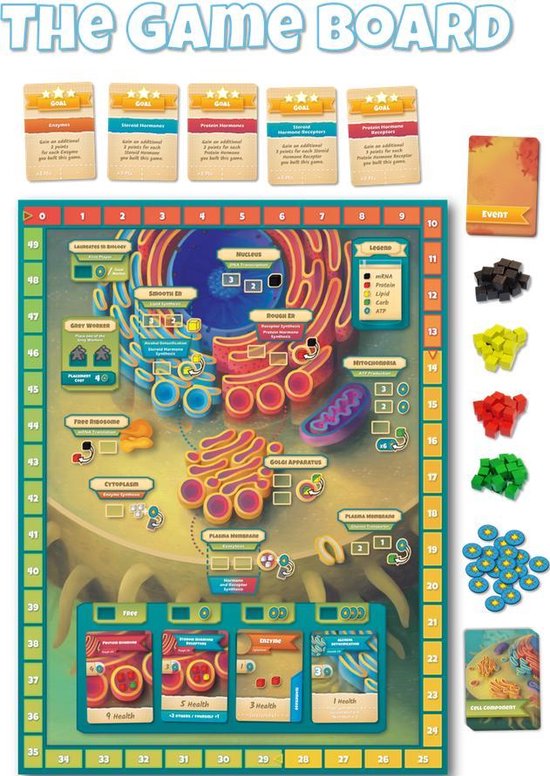 Cytosis: A Cell Biology Board Game (Engelstalig) | Games | bol.com