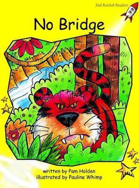 NO BRIDGE, Pam Holden | 9781877363351 | Boeken | bol.com