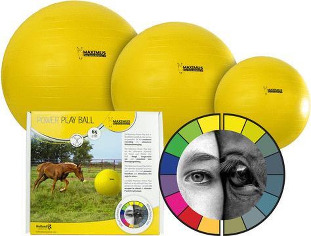 Maximus Power Play Ball Paard 75 cm | bol.com