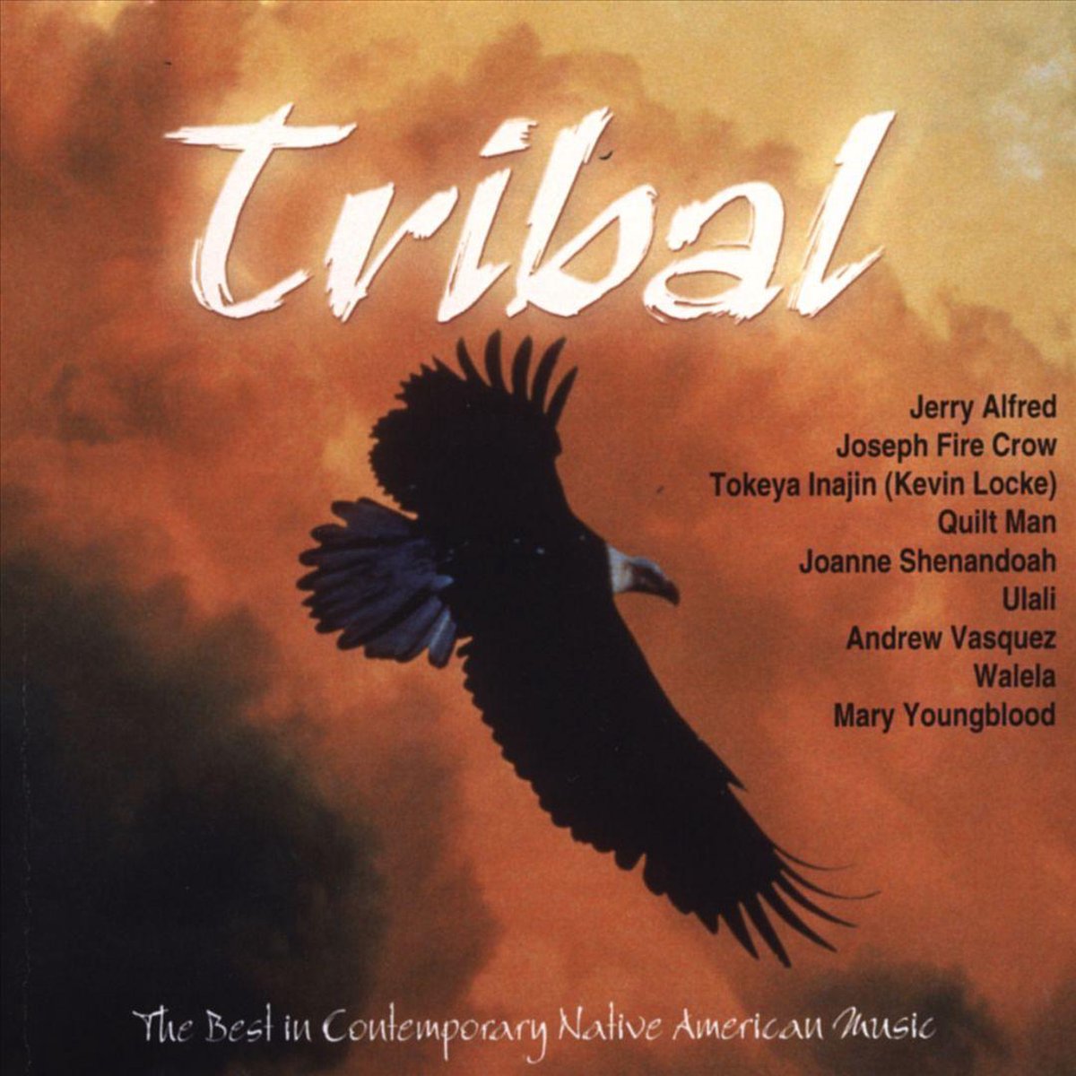 Tribal, Laura Satterfield | CD (album) | Muziek | bol
