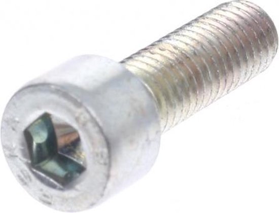 Ergotec Inbusbout Rvs M8 X 25mm Per Stuk | bol