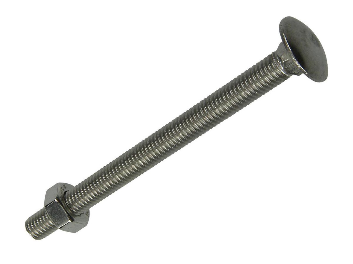 Mack RVS Houtbout Met Moer 1 maal M10 x 120 mm | bol.com